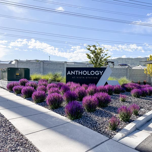 Expert Landscape Design Installation in South Jordan, Utah